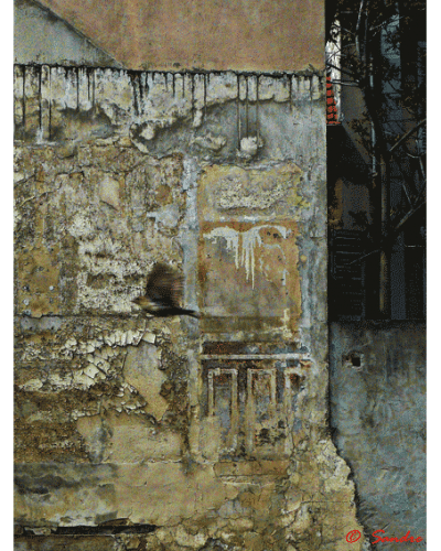 Brigitte Brami hors de sa prison ruinée - Come4News - Diffusez vos ...